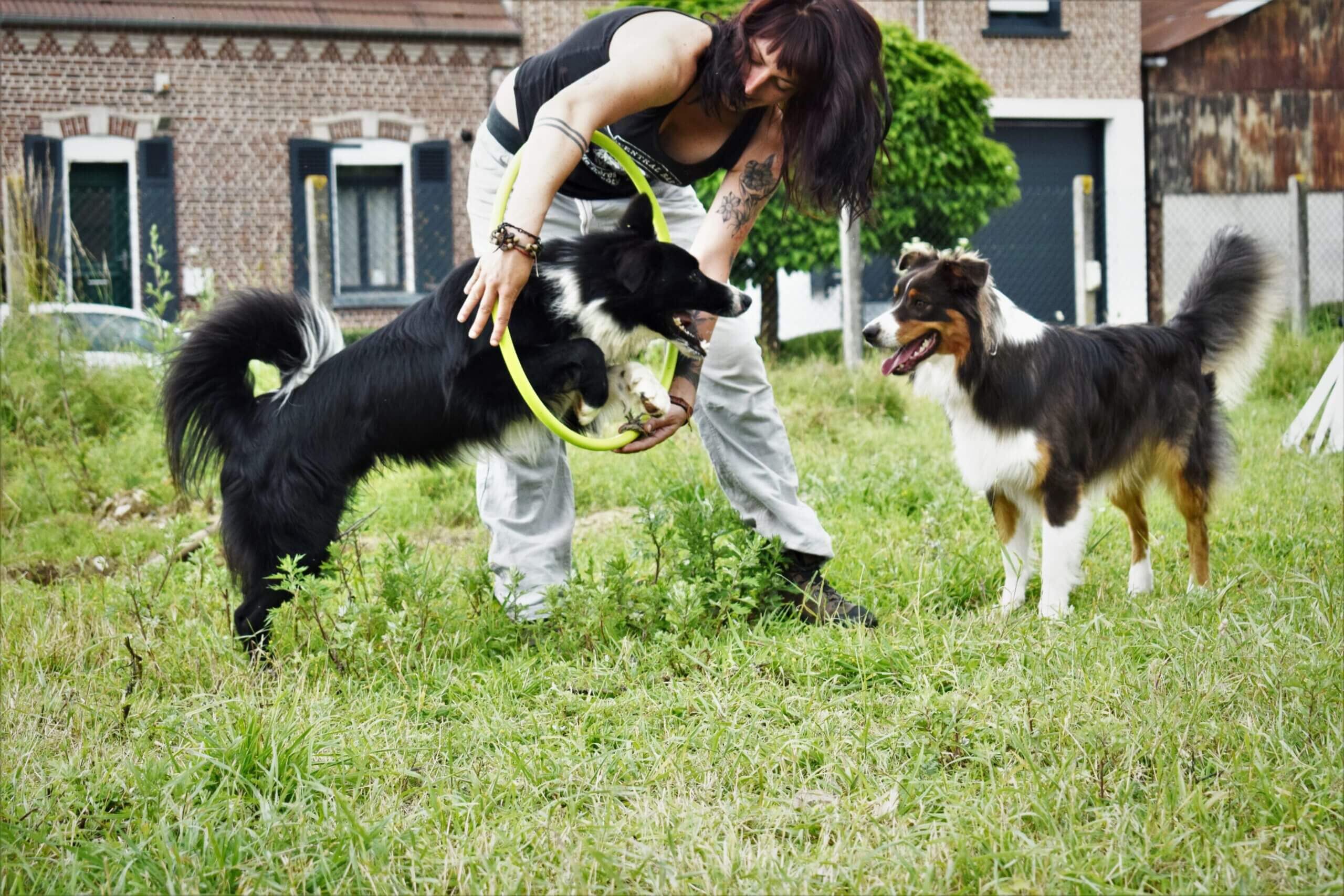 Prestations - Dog's Family