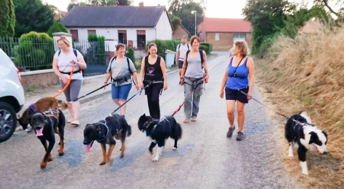 Cani-marches collectives - Dog's Family